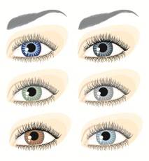 Überblick über Augenfarben